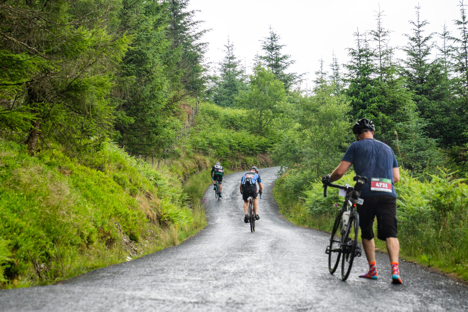 Scaling the Dragon: A Guide to the Memorable Climbs of the Dragon Ride ...